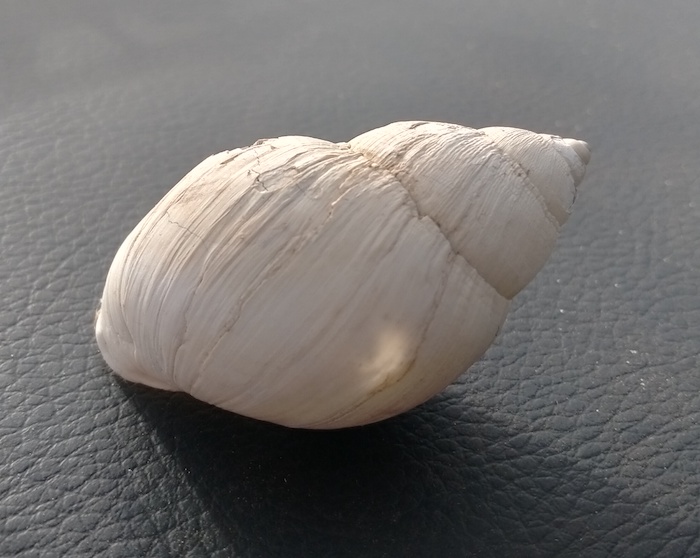 Balladonia Track | Adventures