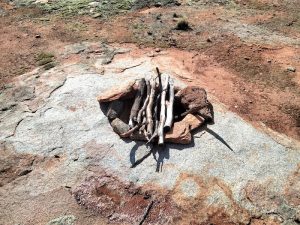 Gnammas | Adventures