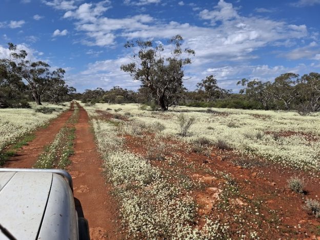 Karara Rangeland | Adventures