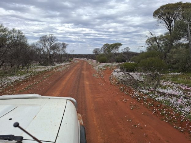 Karara Rangeland | Adventures