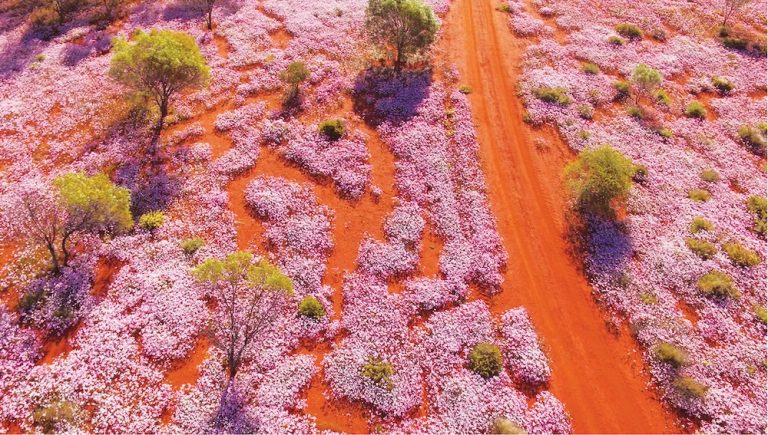 Karara Rangeland | Adventures