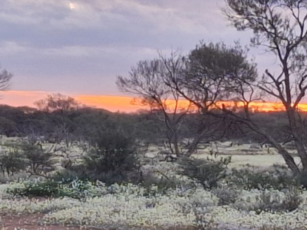 Karara Rangeland | Adventures